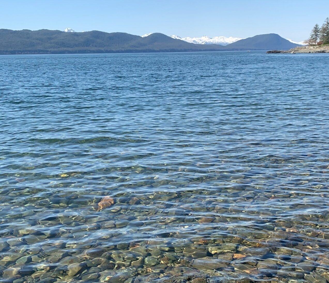 For Review - Revised CHAPCB Standards & Procedures | CHAP Alaska